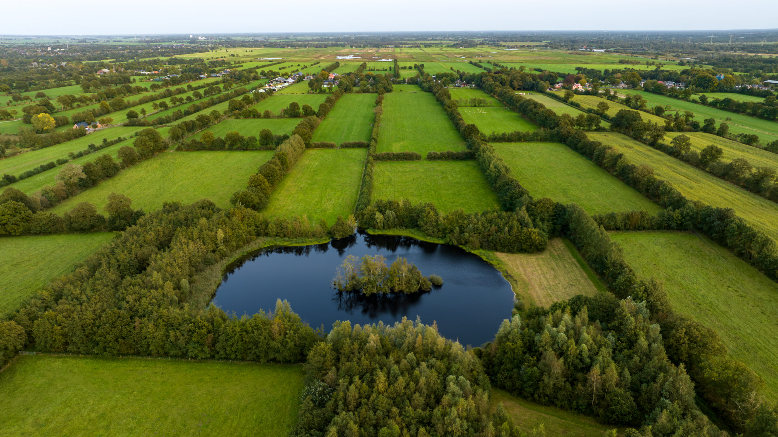 Vacature bij Noardlike Fryske Wâlden - BoerenNatuur